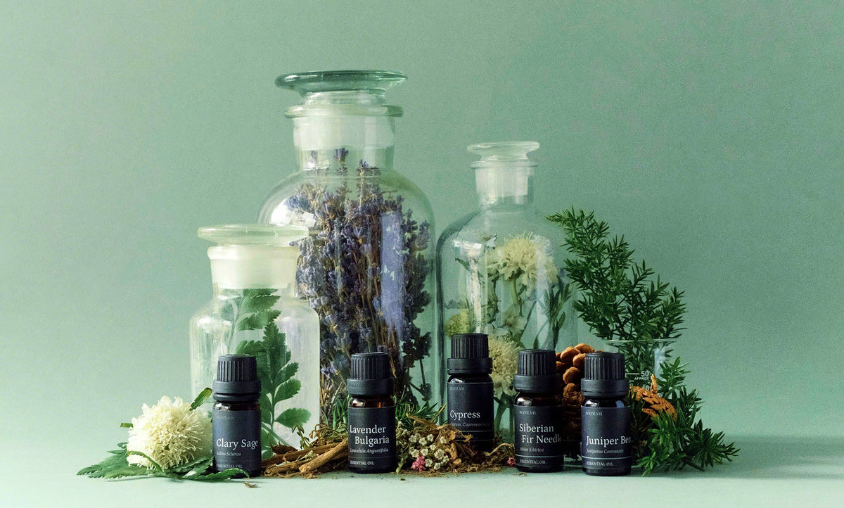Scent.vn - Essence of the Land - Crafted into Scents